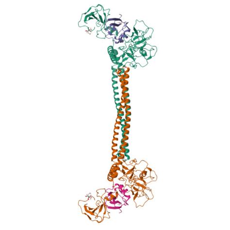 Rcsb Pdb 1jch Crystal Structure Of Colicin E3 In Complex With Its Immunity Protein