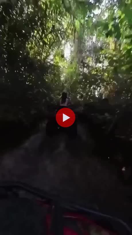 ㅇㅎ 아가씨 후방주의 하세요 유머 움짤 이슈 에펨코리아