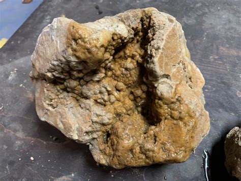 Geodized Crinoid Possibly Fossil Id The Fossil Forum