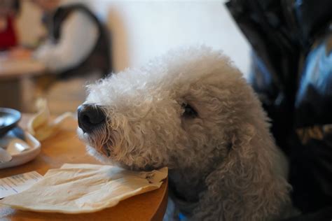 모두들 새해 복 많이 받아 🧧