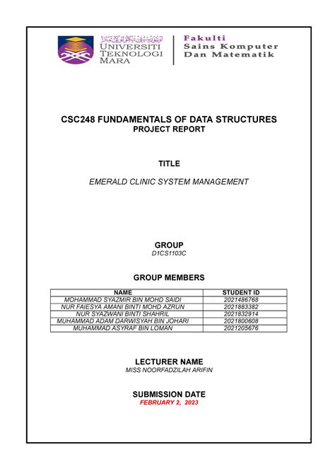 emerald clinic system management csc248 fundamentals of data