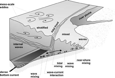 Schematic Of Coastal Ocean Mixing Processes Download Scientific Diagram