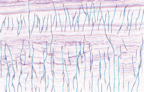 16 ai based interpretation of multiscale fault systems