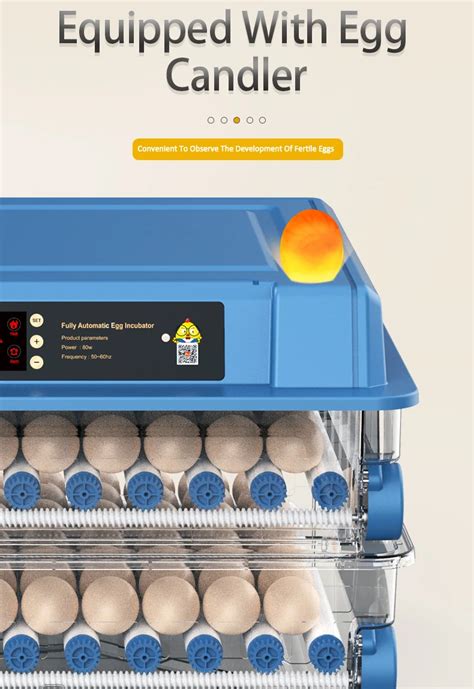Poultry Incubators Hatching Eggs With High Productivity