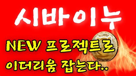시바이누 코인 New 프로젝트로 이더리움 뛰어 넘는다 시바이누코인 시바이누코인전망 시바이누호재 Youtube