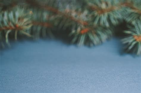 선택적 초점 파란 종이 배경에 초점이 흐려진 분기 전나무가 있는 크리스마스 카드입니다 공간 문자 복사 겨울에 대한 스톡 사진 및 기타 이미지 Istock