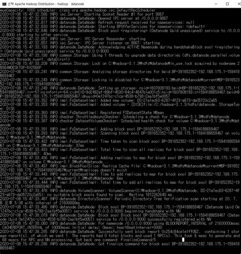 Hadoop Window NameNode DataNode 실행 오류 춤추는 개발자