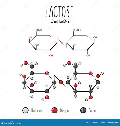 Lactose Skeletal And Flat Representation Vector Illustration 285163210