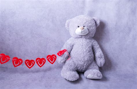 테디 베어 곰 장난감 발렌타인 Pixabay의 무료 사진 Pixabay