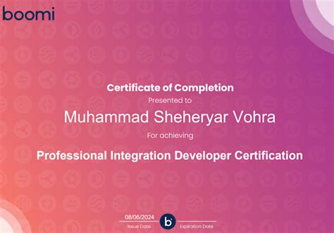 do integration with netsuite and boomi by evolutiondtech fiverr