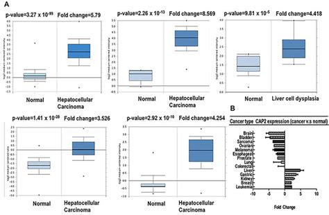 Cap2 Analysis In Different Cancer Types Oncomine Database The Box Download Scientific