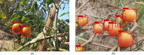 Test Results Under Different Clusters A Single Cluster And B Download Scientific Diagram