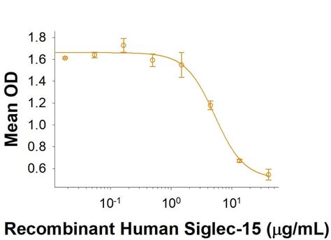 Siglec 15 Research Products Novus Biologicals