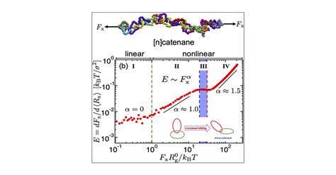 Nonlinear Elasticity Of Single Linear Polycatenane Emergence Of Stress Softening Macromolecules