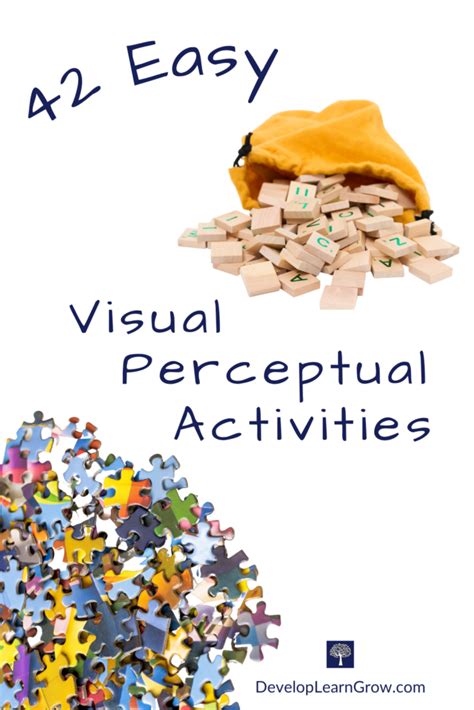 Visual Perception Activities Online