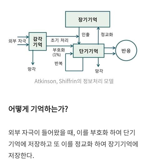 인간의 기억은 어떻게 저장되고 장기기억과 단기기억은 어떤 원리로 작동하는가 ㅣ 궁금할 땐 아하