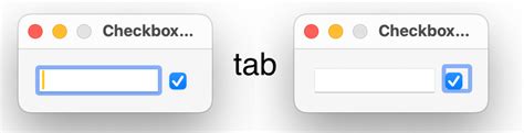 Macos SwiftUI Checkbox Focus Ring Too Large And Off Center Is This
