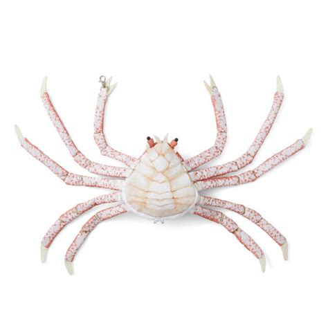 Molting Japanese Spider Crab Plush Toy Japan Trend Shop