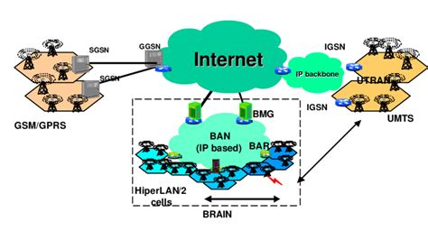 Brain Network Model Download Scientific Diagram