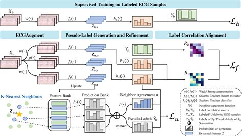Semi Supervised Learning For Multi Label Cardiovascular Diseases
