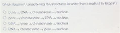 Solved Which Flowchart Correctly Lists The Structures In Order From