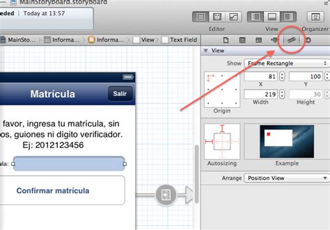 ios how to make a view in a xib storyboard size to the phone dimensions without using auto