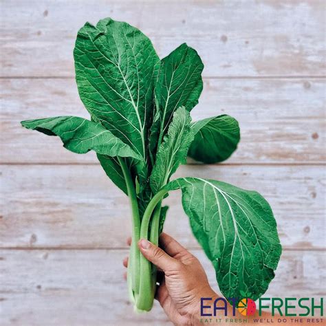 Chye Sim 菜心 500g Per Pack