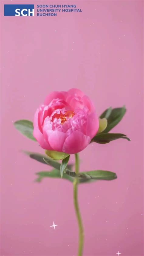 Сүн Чон Хян Бүчон эмнэлгийг зорин ирж үйлчлүүлдэг та бүхэндээ баярлалаа👏 Эмэгтэйчүүдийн эрхийг