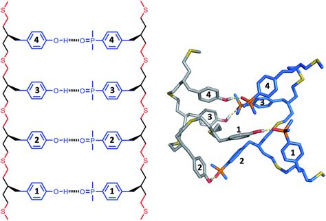 Lowest Energy Conformation Of The 4 Mer Duplex Aaaa·dddd From A