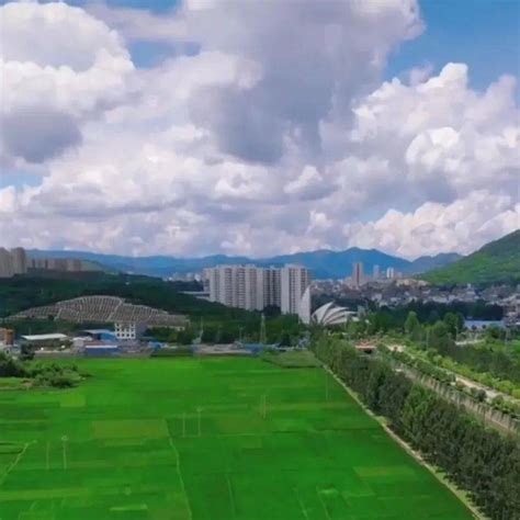 昭通未来三天晴热天气持续在线 天气实况 气温 工作