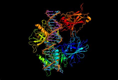 Protein Analysis Techniques Explained Ata Scientific