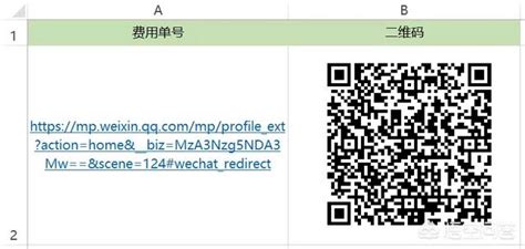 Excel表格如何生成二维码和条形码？ 天天办公网