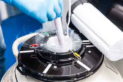 Does Embryo Grading Matter With PGT Testing Rescripted