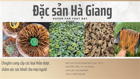 Ngọc Ngà Châu Báu 🍀𝑵𝒉𝒂̂̃𝒏 𝑯𝒐𝒂 𝒎𝒂̂̃𝒖 đ𝒐̛𝒏 𝒏𝒈𝒐̣𝒄 𝒄𝒂̂̉𝒎 𝒕𝒉𝒂̣𝒄𝒉 𝒔𝒐̛𝒏