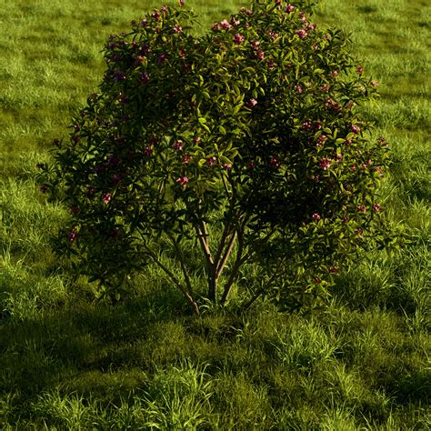 Proper Translucency Shader Lighting And Rendering Blender Artists Community