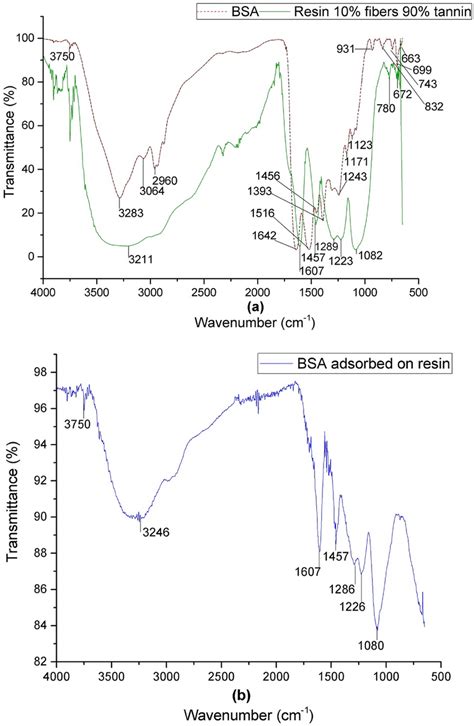 Ftir Atr Spectra Of Bsa And Resin Before A And After Adsorption B Download Scientific Diagram