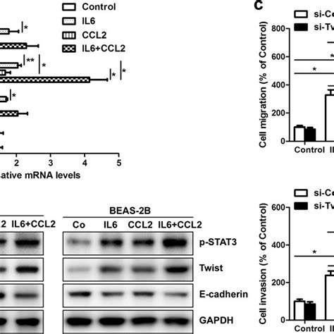 Pdf The Ccl2 Ccr2 Axis Enhances Il 6 Induced Epithelial Mesenchymal Transition By