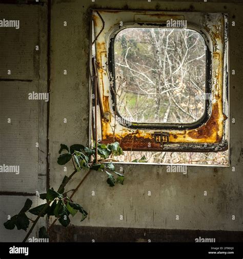 Closeup Shot Of A Half Open Rusty Window On A Dirty White Wall And A Plant Going Over The
