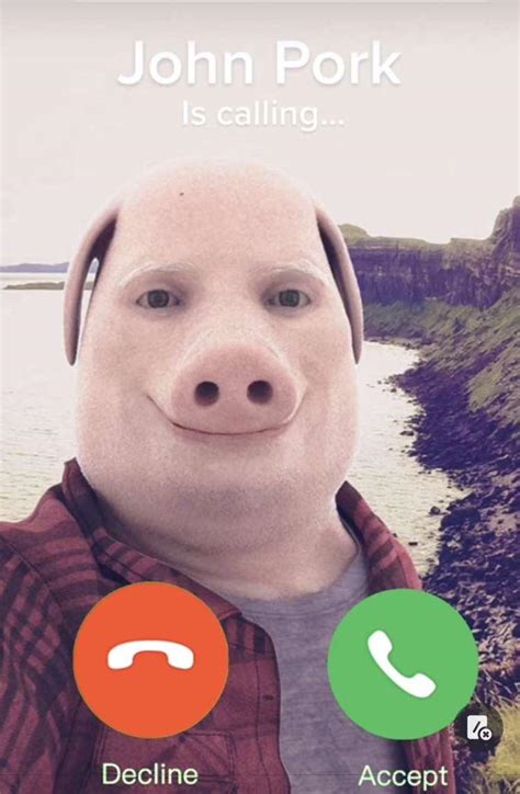 John Pork Is Calling Accept Or Decline R Johnpork