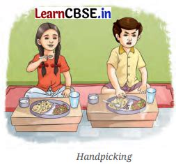 Methods Of Separation In Everyday Life Class Notes Science Chapter Learn CBSE