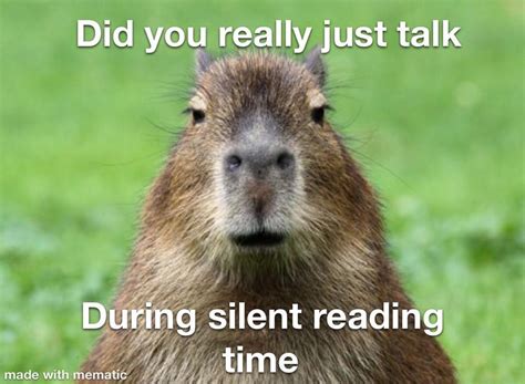 Did You Really Just Talk During Silent Reading Time R