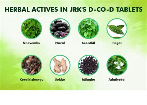 Herbal D Co D Tablets At ₹ 390box Diabetic Herbal Tablets In Chennai