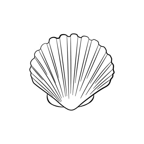 Sea Shell Scallop Vector Sketch Illustration Seashell Outline Icon 6922849 Vector Art At Vecteezy