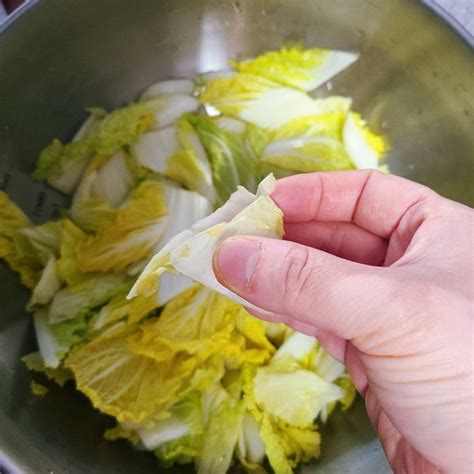 알배기 배추겉절이 만드는법 알배추 겉절이