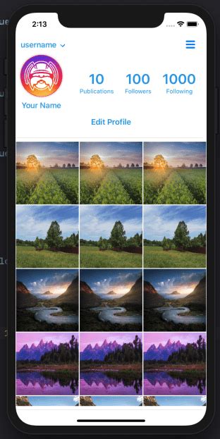 An Instagram Clone Using Swiftui And Graphql Profileview