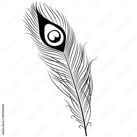 Peacock Feather Icon Illustration Vector Peacock Feather Svg Stock