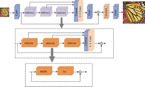 Multi Scale Dense Attention Network Msdan Download Scientific Diagram