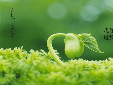 四年级下册数学课件 用画图策略解决和差问题苏教版 word文档在线阅读与下载 免费文档