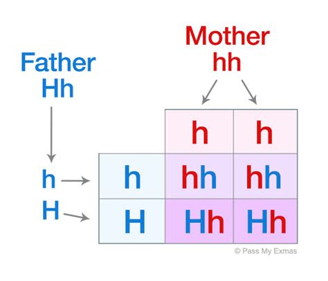 Genetic Disoder Genetics