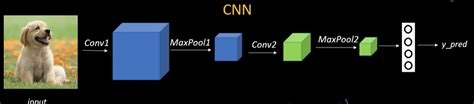 Whole Theory Of Cnn From Scratch First Lets Understand Why We Cannot